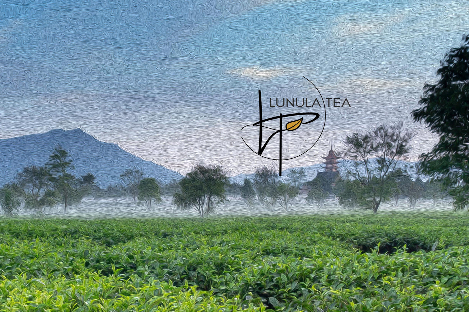 Discover the world of tea with Lunula Tea – LUNULATEA